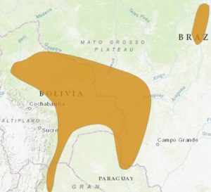 Golden-collared macaw – Instituto Arara Azul